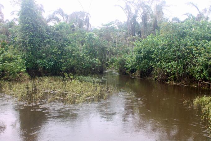 News -- Three headless bodies float on Ondo River